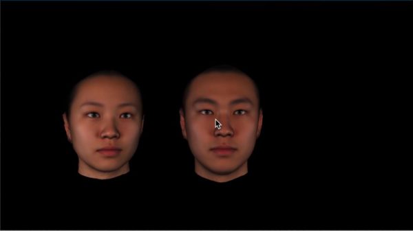 Guide for beginners: What types of morphing are there?